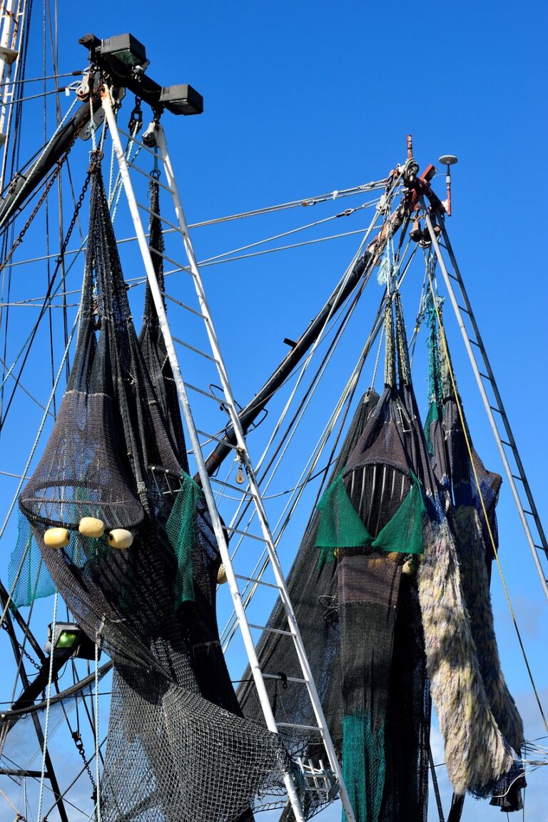 Home - South Carolina Shrimpers Association