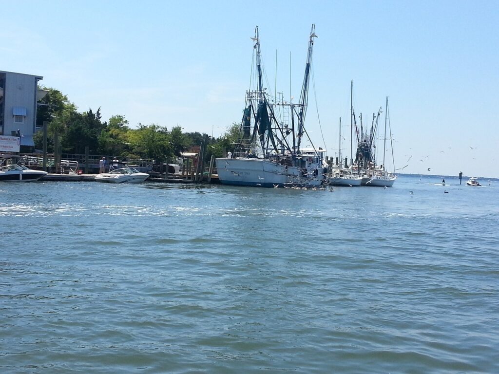 Home - South Carolina Shrimpers Association